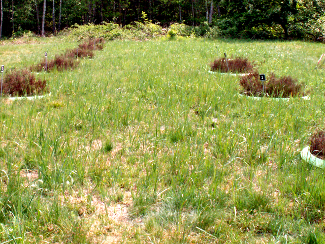 Hydrosens für Wasser, Boden und Luft: Verdunstung
